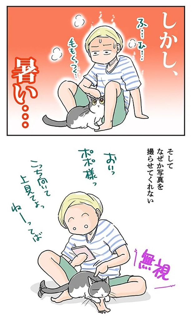 <画像166 644>【ネコ漫画】個性あふれる3匹の猫とのドタバタな日常を描いたコミックエッセイを一気読み!|ウォーカープラス