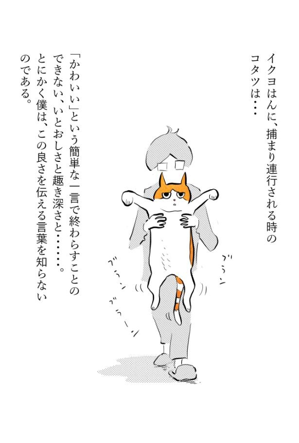 <画像2 12>【猫ちゃんの謎】されるがまま…猫の“ブランブラン”な姿はなぜこんなにかわいいの?|ウォーカープラス
